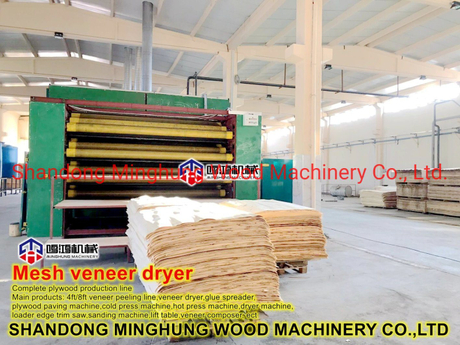 Veneer Drying Process Roller Dryer