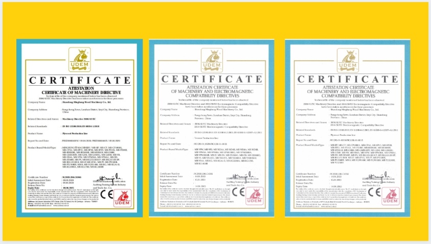 veneer machine line - SHANDONG MINGHUNG WOOD MACHINERY CO.,LTD