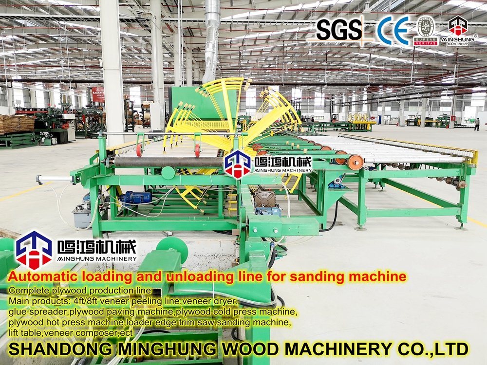 Plywood Sanding Machine with Automatic Roller Conveyor