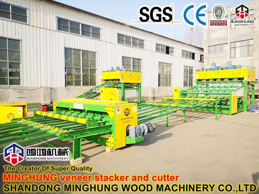 Veneer Sorting Machine Connecting with Veneer Peeler
